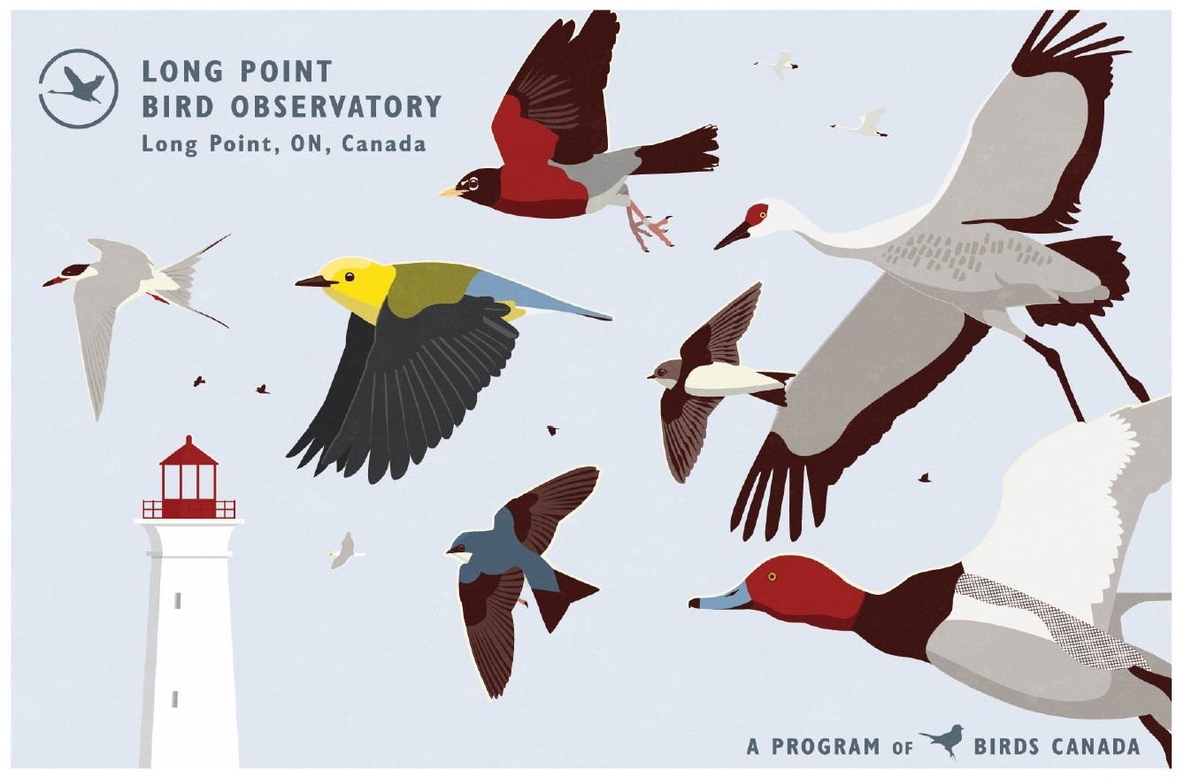 LPBO Resources - Birds Canada | Oiseaux Canada