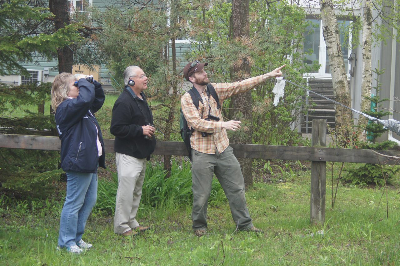 Félicitations, Rosie Kirton, pour vos 30 années de dévouement! - Birds ...